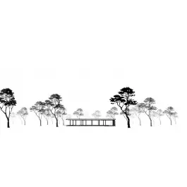 Revit Shore Pine Tree Family - Detailed, Realistic and Enhance ...