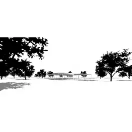 Revit Tree Family - Broadleaf Summer Trees for Realistic and ...