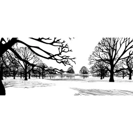 Realistic Revit Broadleaf Black Oak Tree for Effective Architectural ...